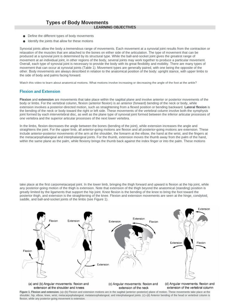 Types of Body Movements | PDF