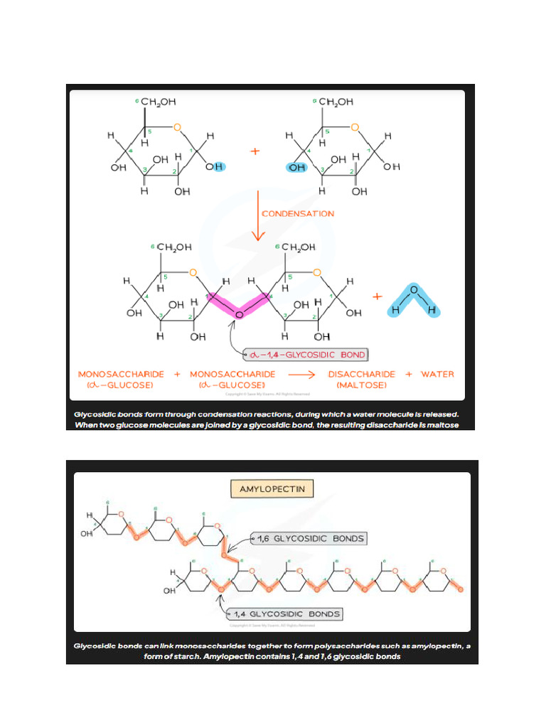 Core Practical 1 | PDF