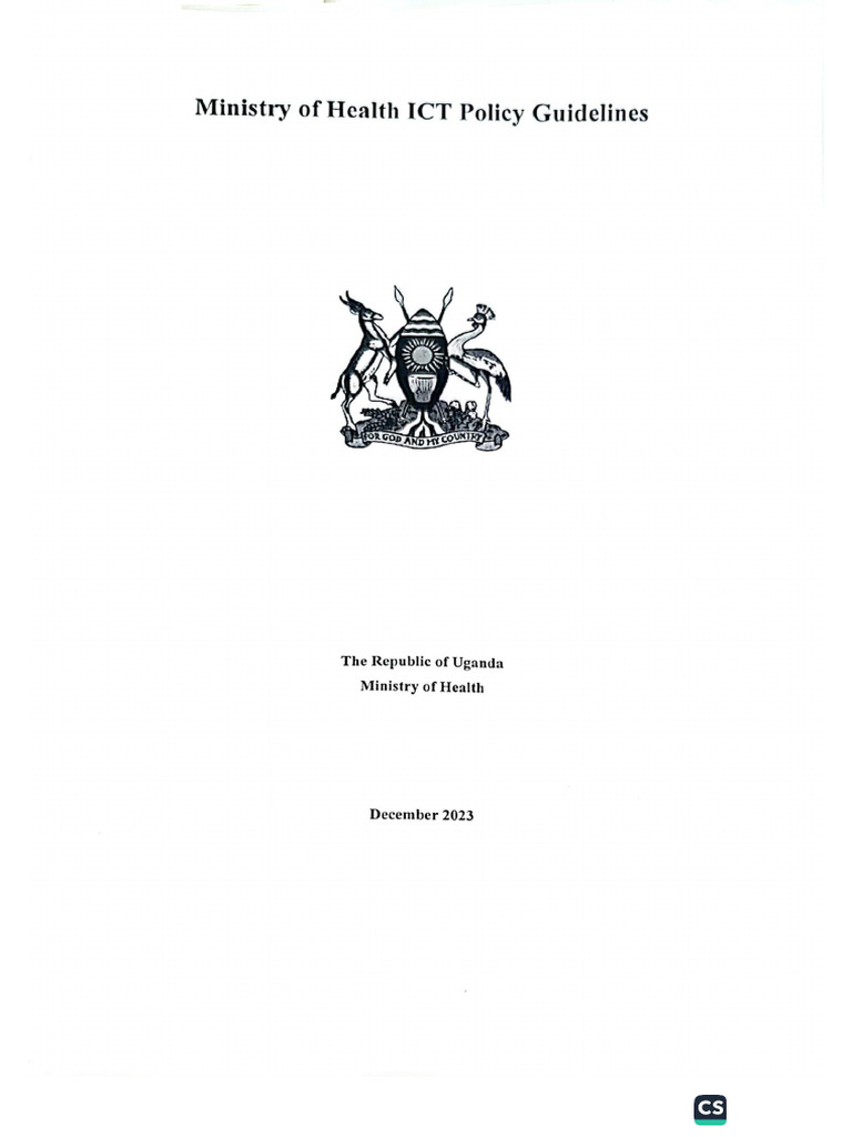 MoH ICT Policy Guidelines | PDF