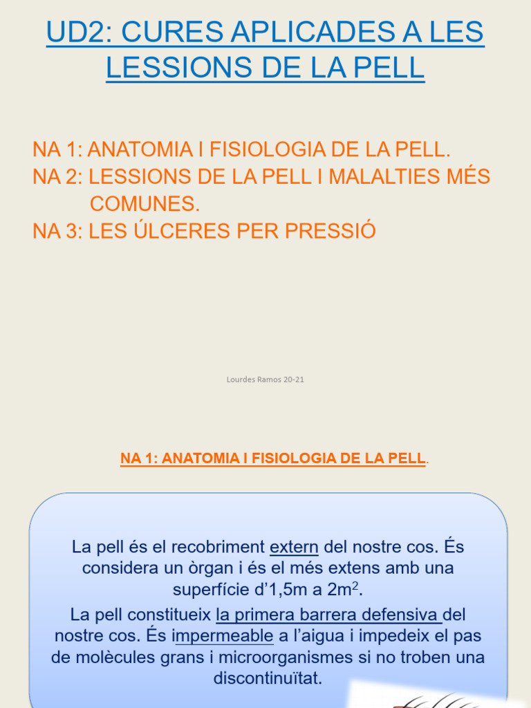 Anatomía de La Pell | PDF