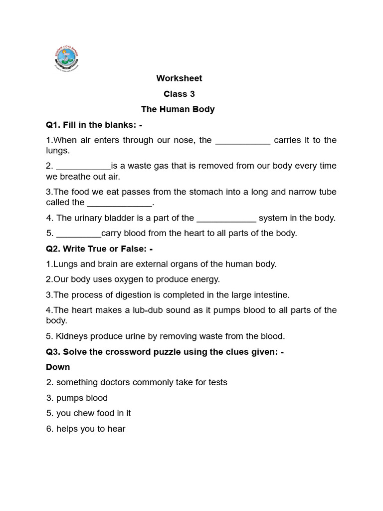 Worksheet - The Human Body | PDF
