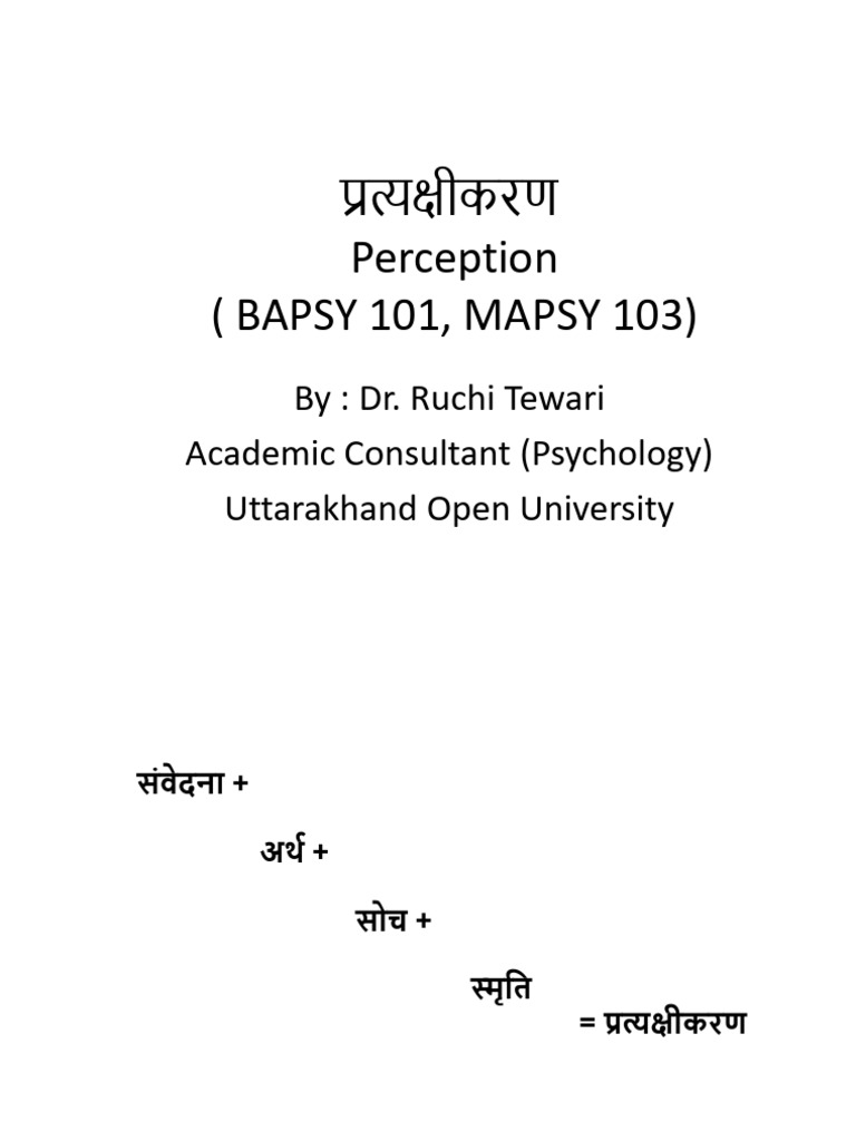 Perception | PDF