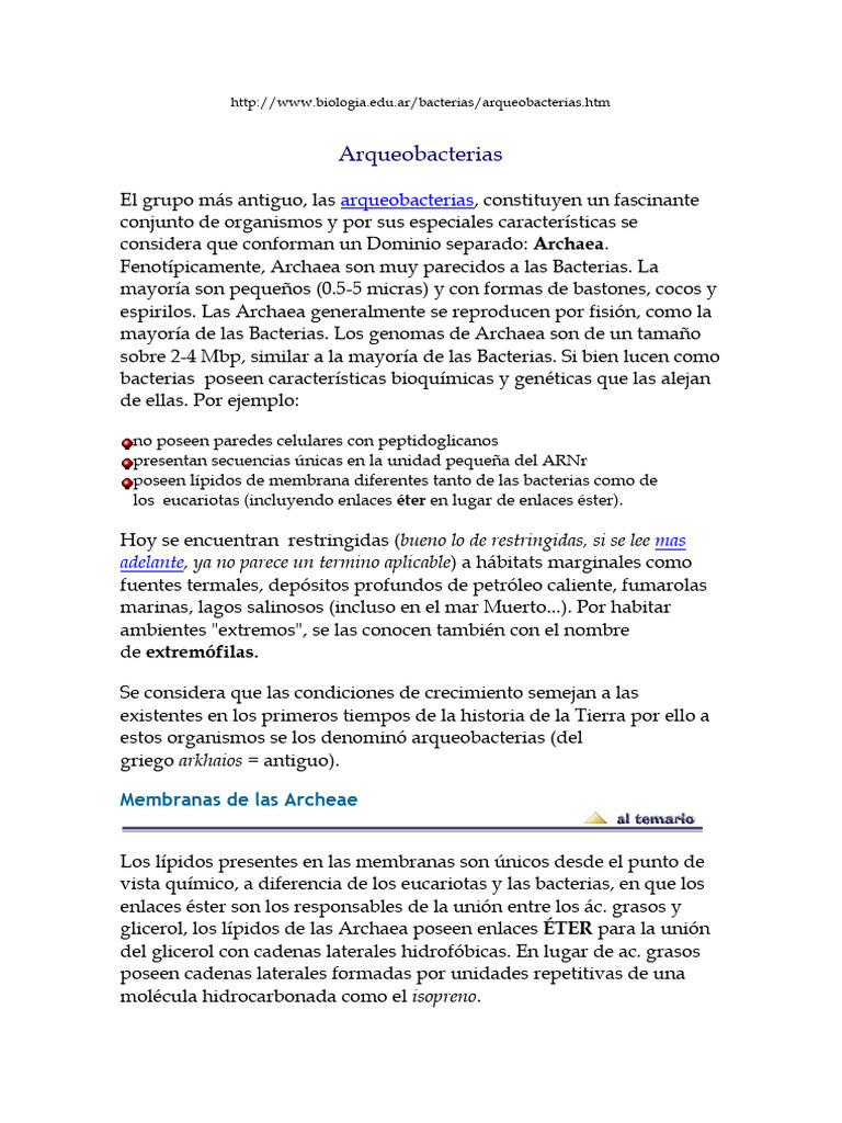 Arqueobacterias: Características y Hábitats | PDF | Archaea | Ciencia y ...