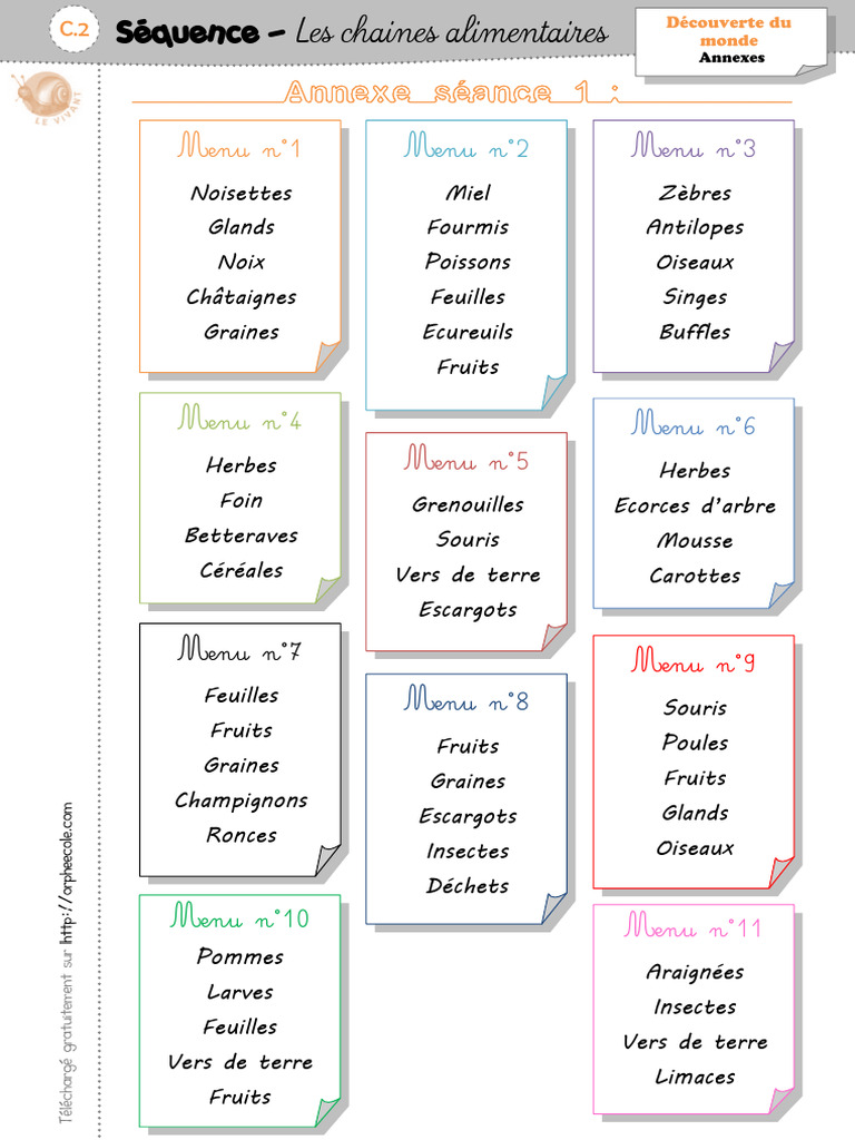 Annexes Chaine Alimentaire | PDF