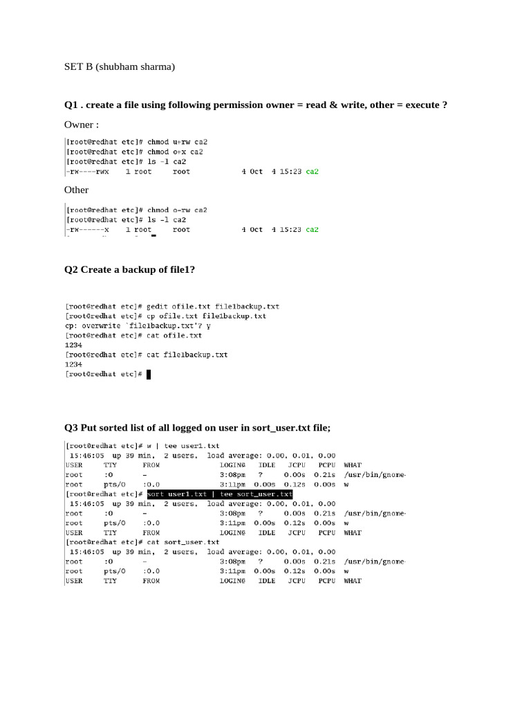 SET B CA2 Linux | PDF