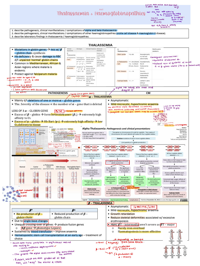 Lec 3 - Thalassaemia - Haemoglobinopathies | PDF