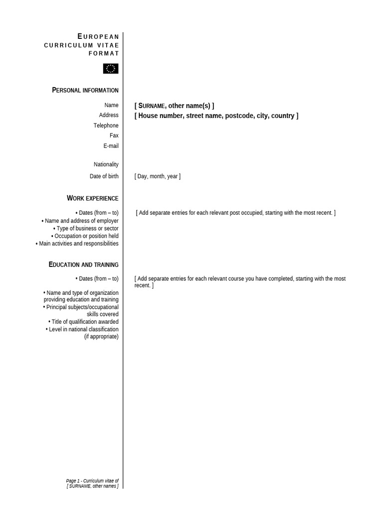 CV en 1 | PDF