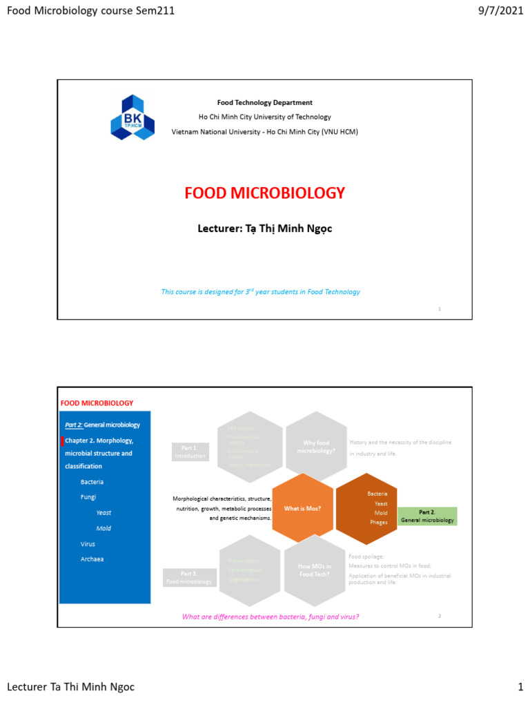 Chap2B Morpho Structure Fungi | PDF