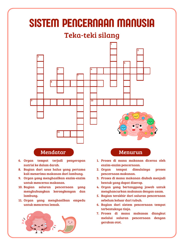 LKPD Teka Teki Silang Sistem Pencernaan | PDF