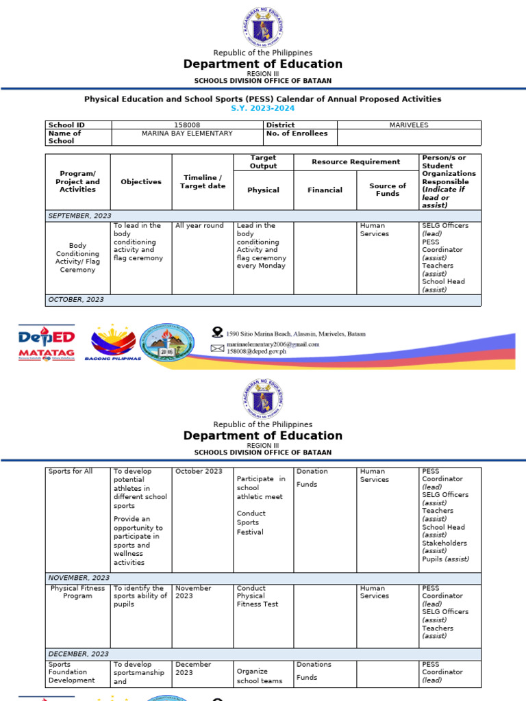 Action Plan Pess | PDF
