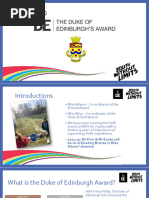 Gold DofE Skills Activity Log | PDF