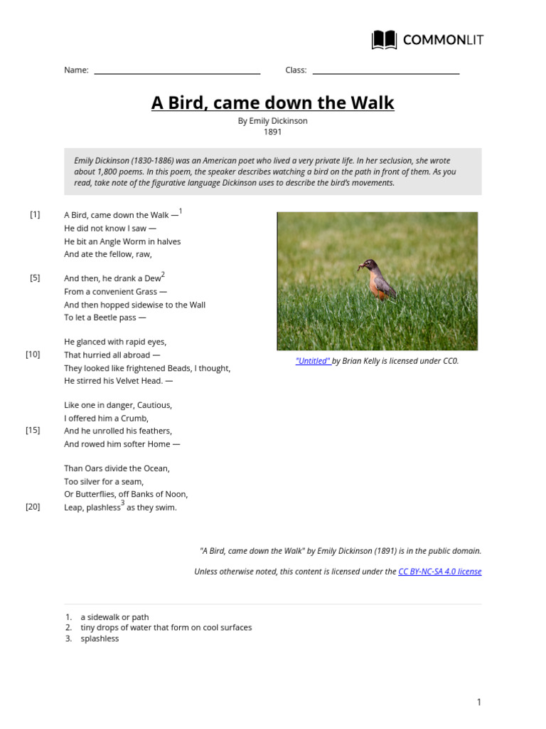 Ed A Bird Came Down The Walk | PDF