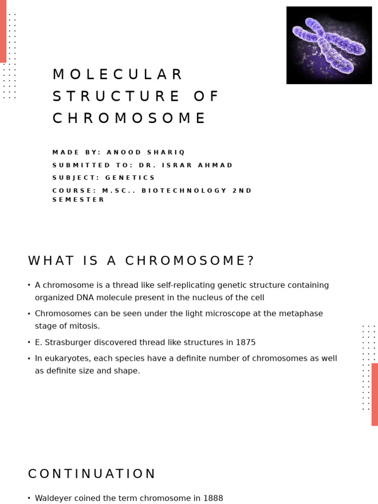 Presentation On Chromosome | PDF | Chromosome | Ploidy