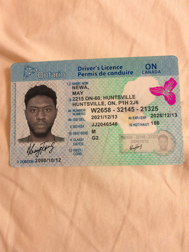My Drivers License | PDF