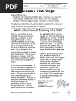 Fish Anatomy: Structure and Functions | PDF