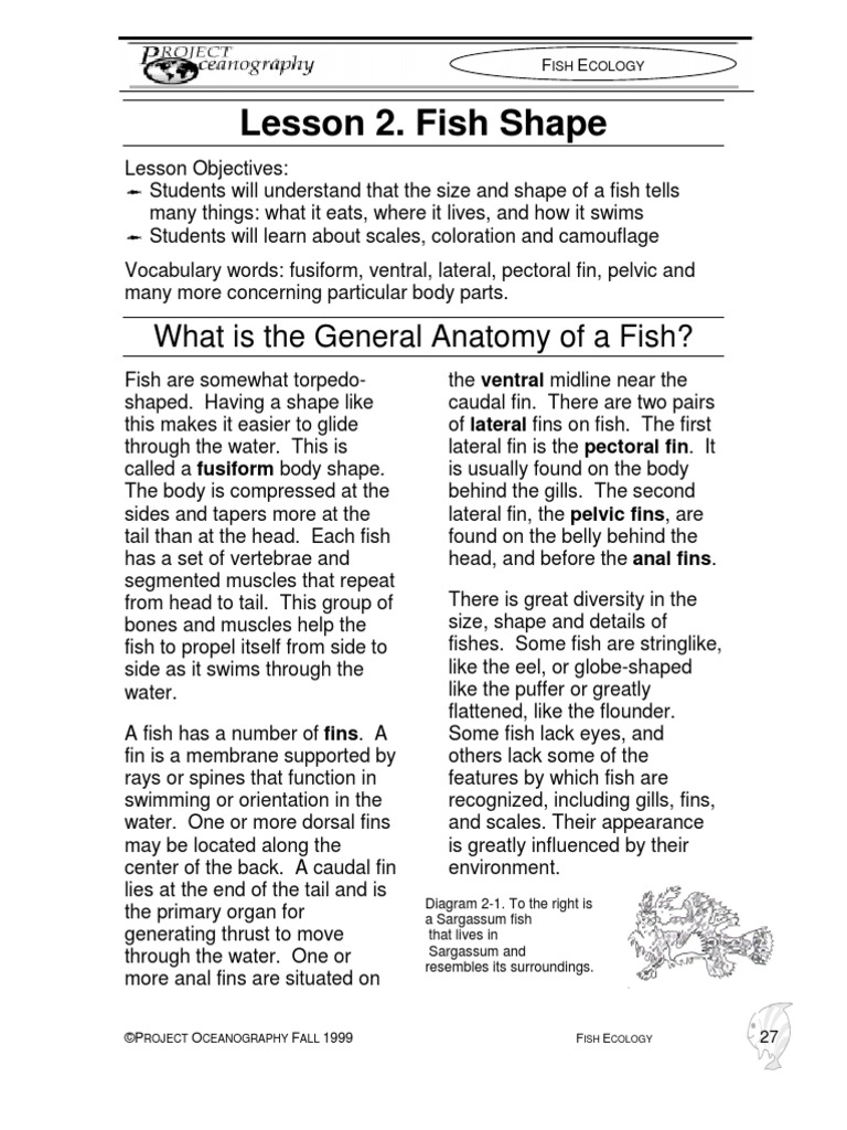 Fish Shape and Scales | PDF | Aquatic Vertebrates | Fish