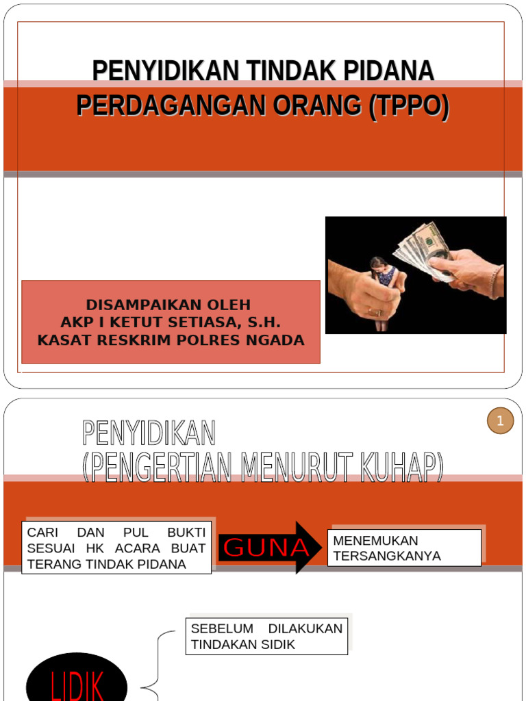 Paparan TPPO IOM | PDF