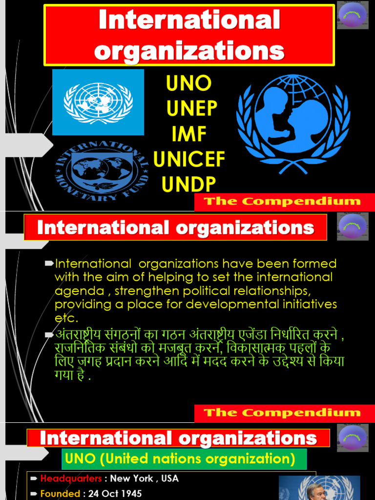 International Organization | PDF