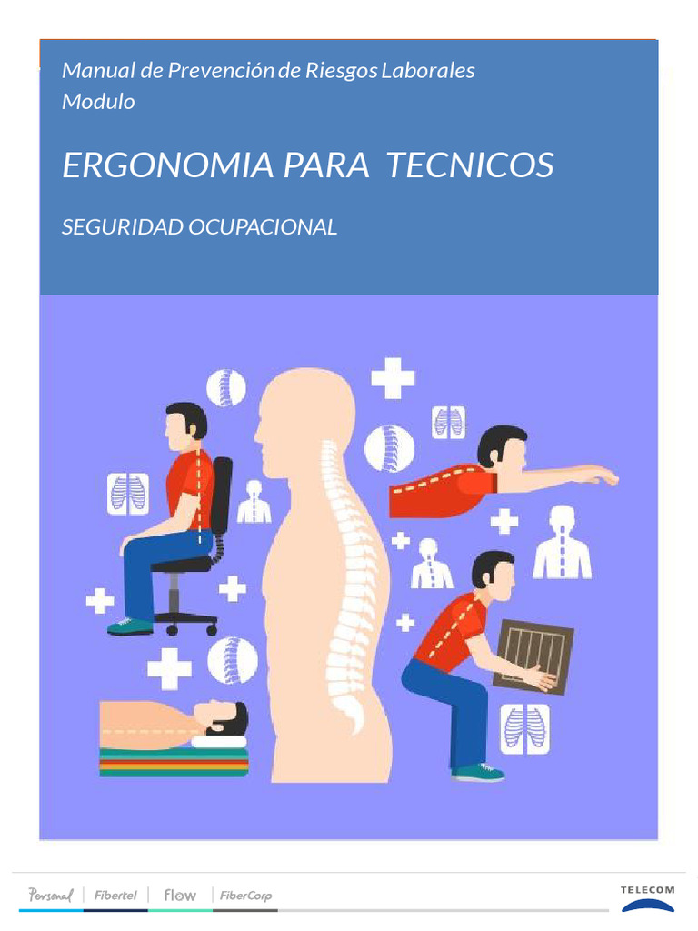 Manual Ergonomía para Técnicos | PDF