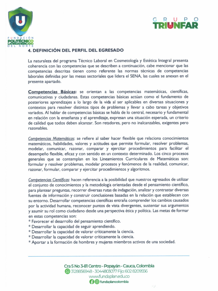 Definición Del Perfil Del Egresado | PDF