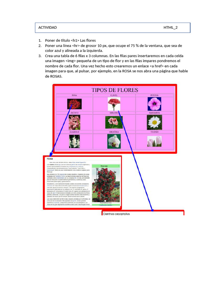 Tabla Vínculo | PDF