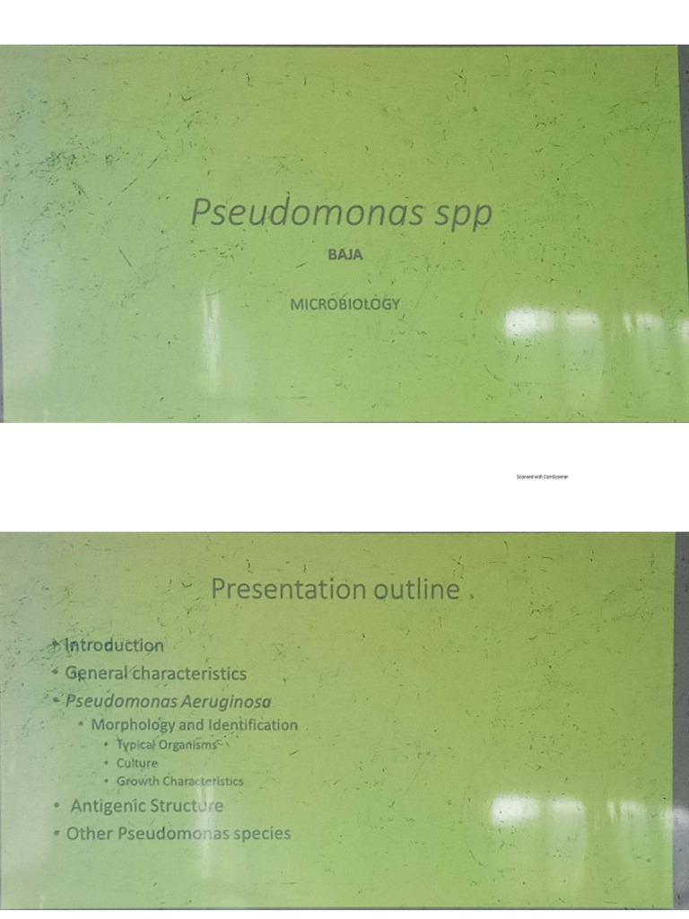 43.pseudomonas SPP | PDF