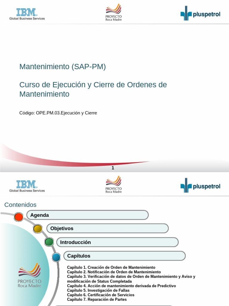 Ejecución y Cierre SAP-PM OPE PM 03REV1 | PDF | Planificación ...