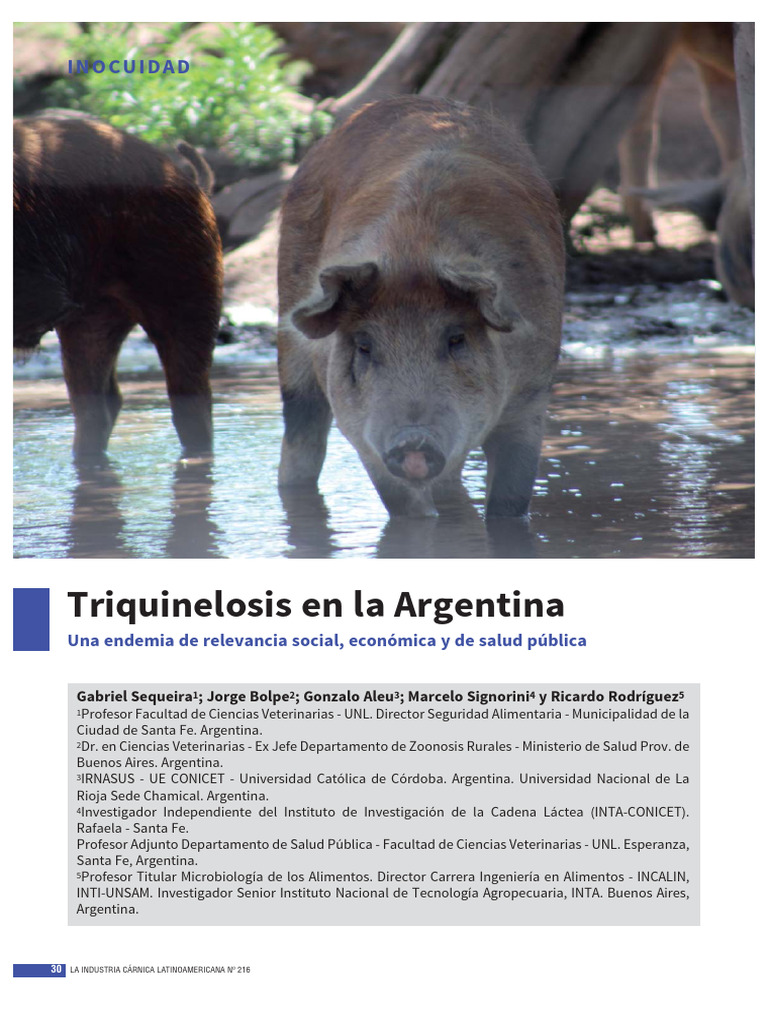 Triquinelosis en Argentina: Impacto y Prevención | PDF | Carne