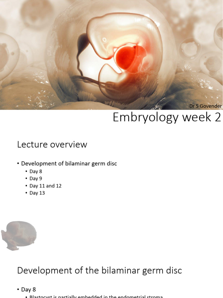 Embroyolgy Week 2 Bilaminar Germ Disc | PDF