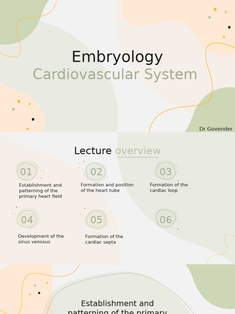 Body System - Embryology of The Cardiovascular System | PDF