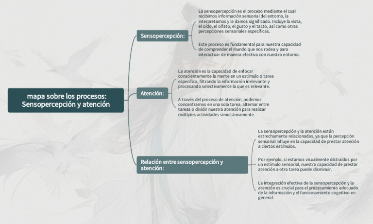 Mapa Sobre Los Procesos - Sensopercepción y Atención | PDF