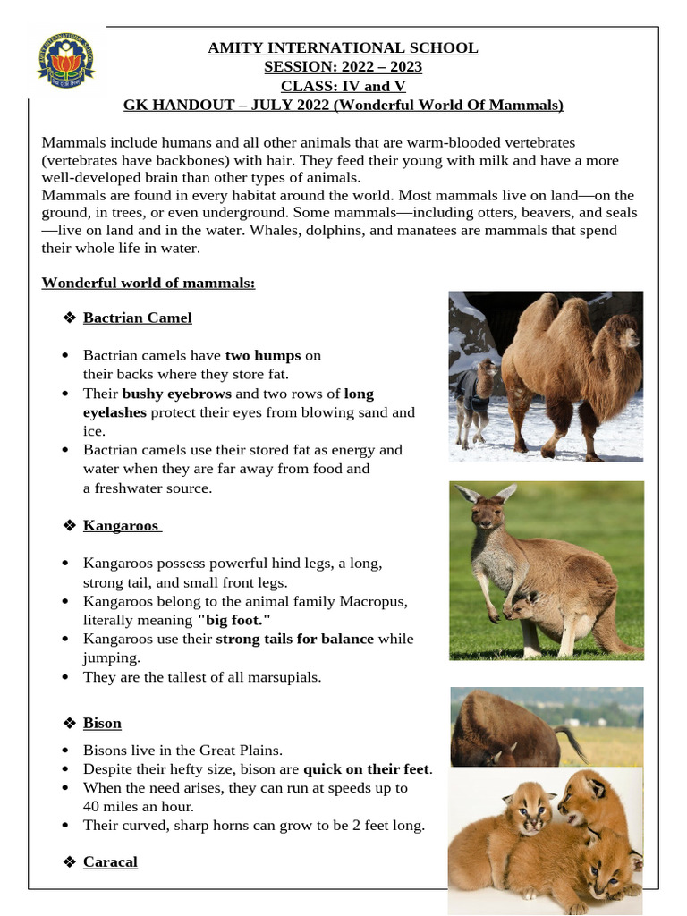 G.K. Handout - Wonderful World of Mammals - July 2022 | PDF | Mammals ...