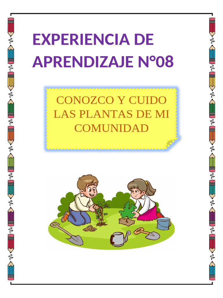 Experiencia de Aprendizaje 08 | PDF