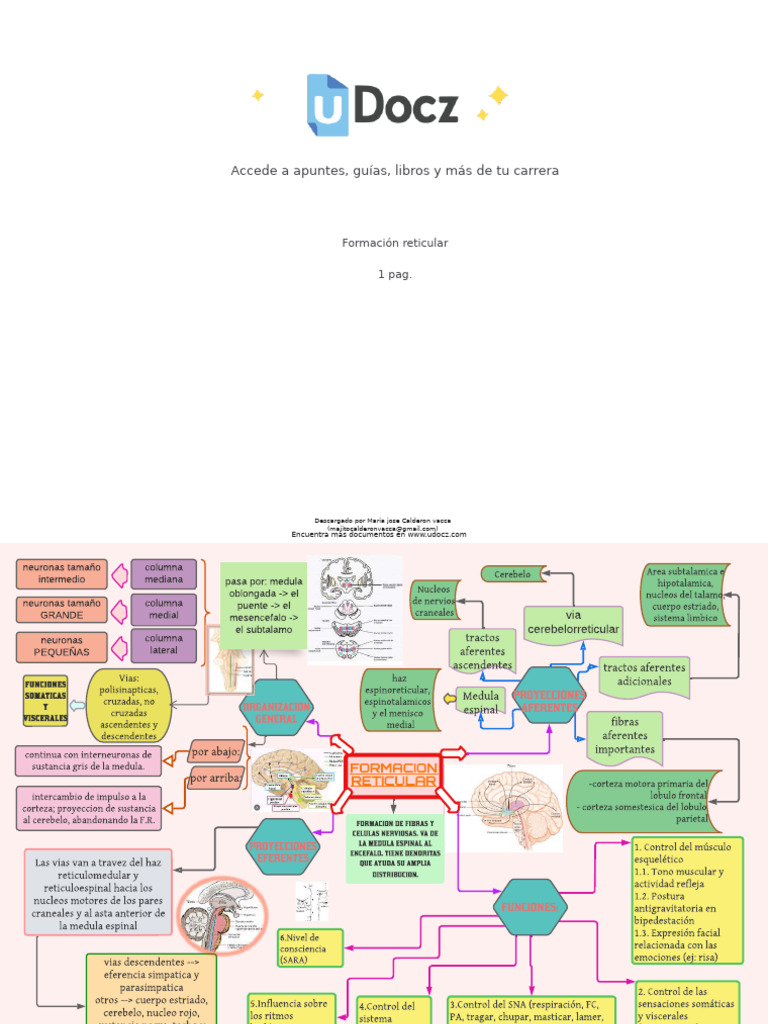 Formacion Reticular 474111 Downloadable 3097301 Pdf