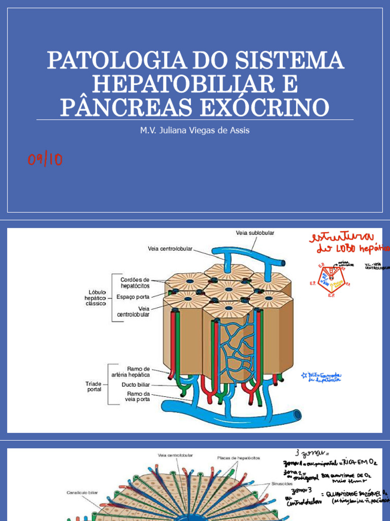 Sistema Hepatobiliar e Pâncreas Exócrino 09:10 | PDF