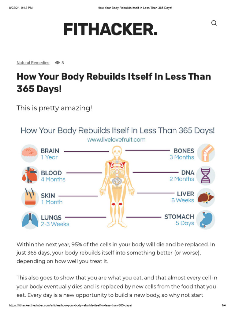 Body Cell Regeneration Timeline | PDF | Skin | Bone