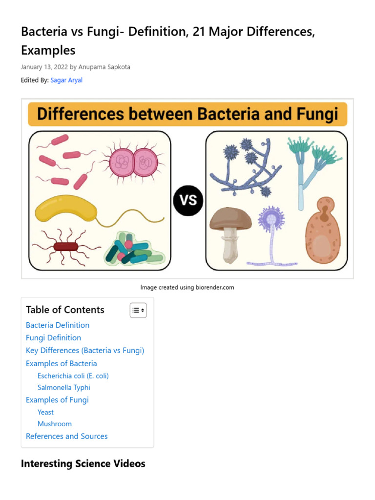 Bacteria Vs Fungi - Definition, 21 Major Differences, Examples | PDF