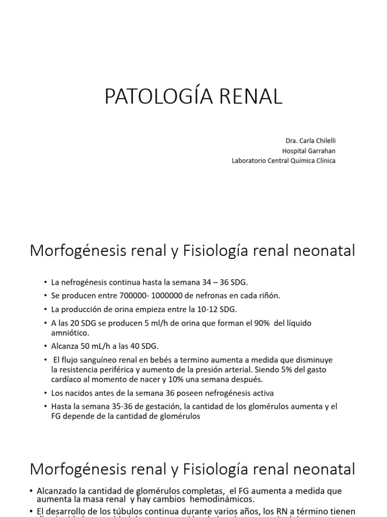 1.patología Renal-Necrosis Tubular Aguda Dra - Carla Chilelli | PDF