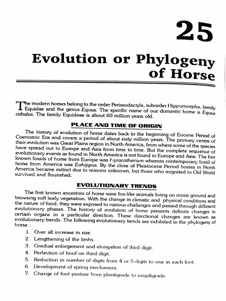 Evolution of Horse | PDF