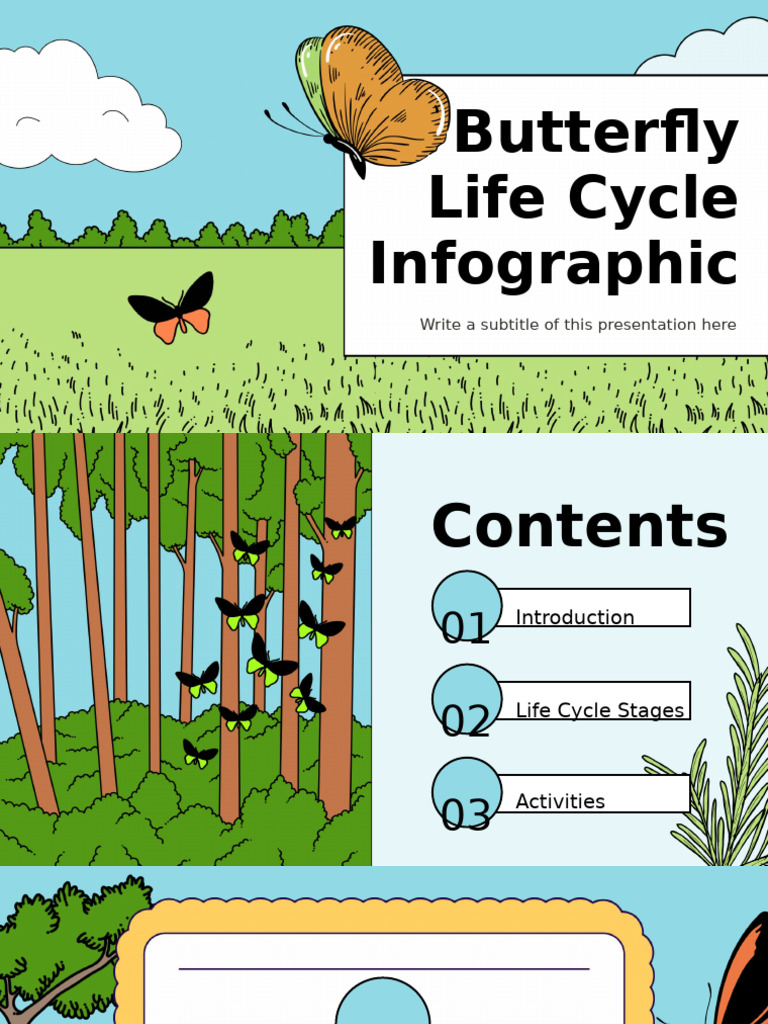 Simple Illustrative Butterfly Life Cycle Infographic | PDF