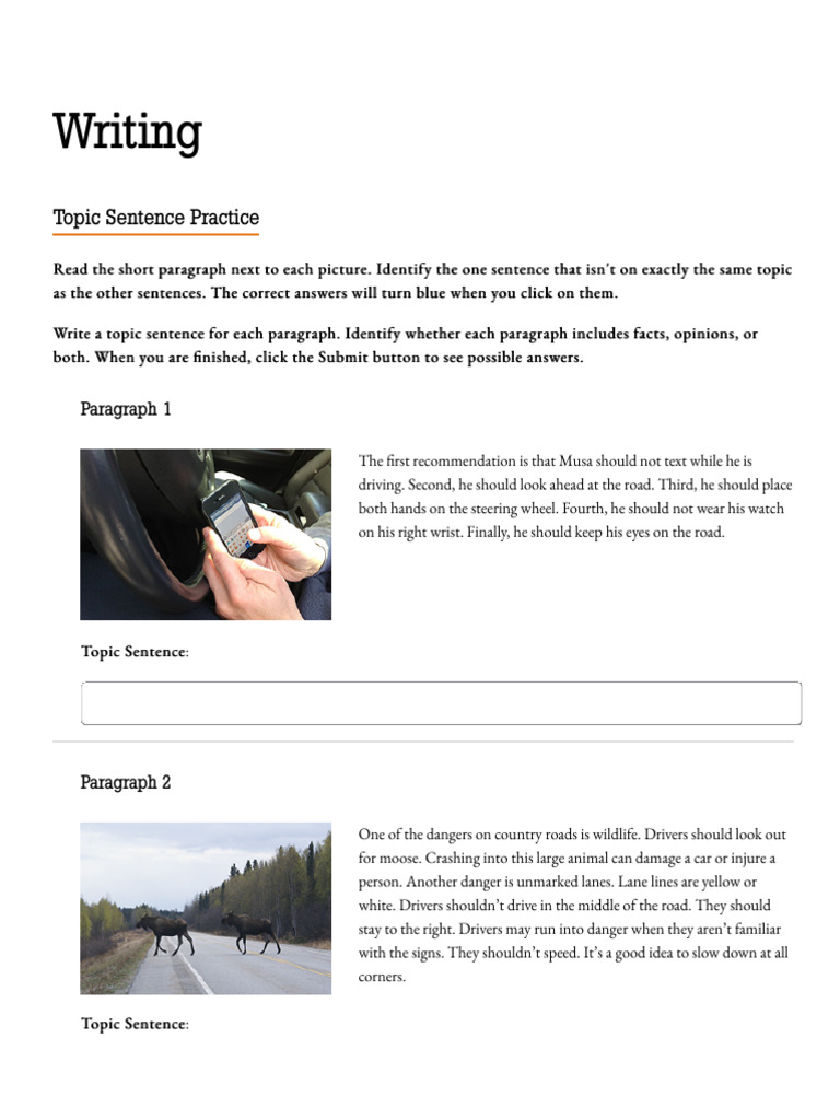 Writing - Topic Sentences Practice Tests | PDF