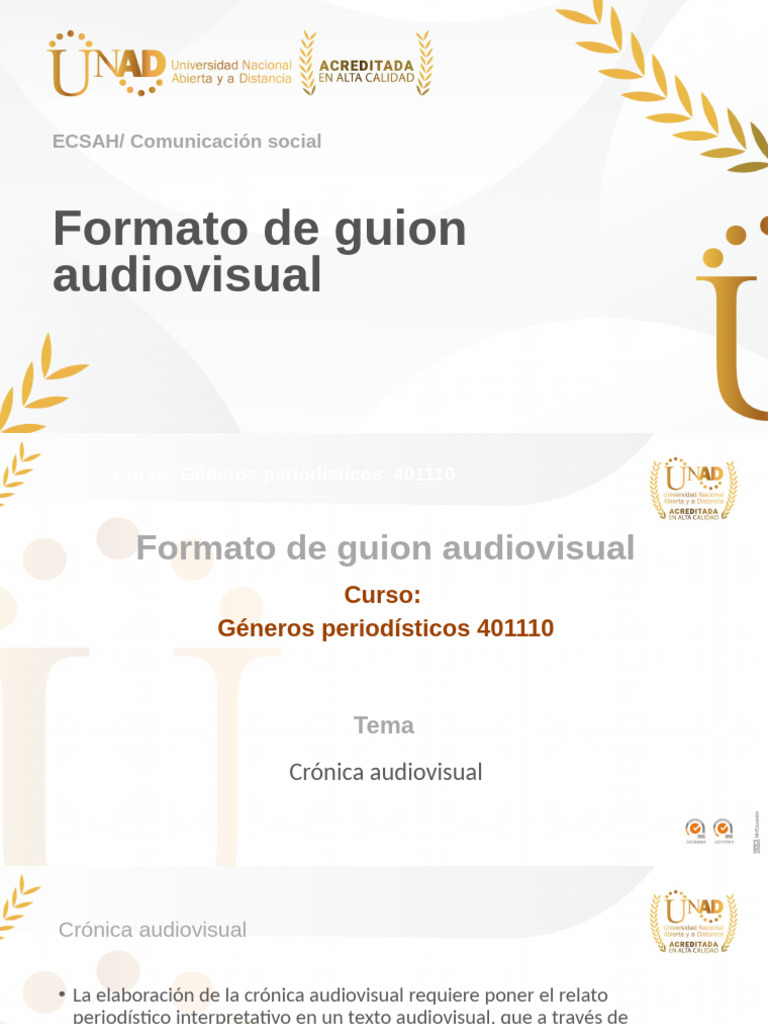 Anexo Formato Guion Audiovisual | PDF