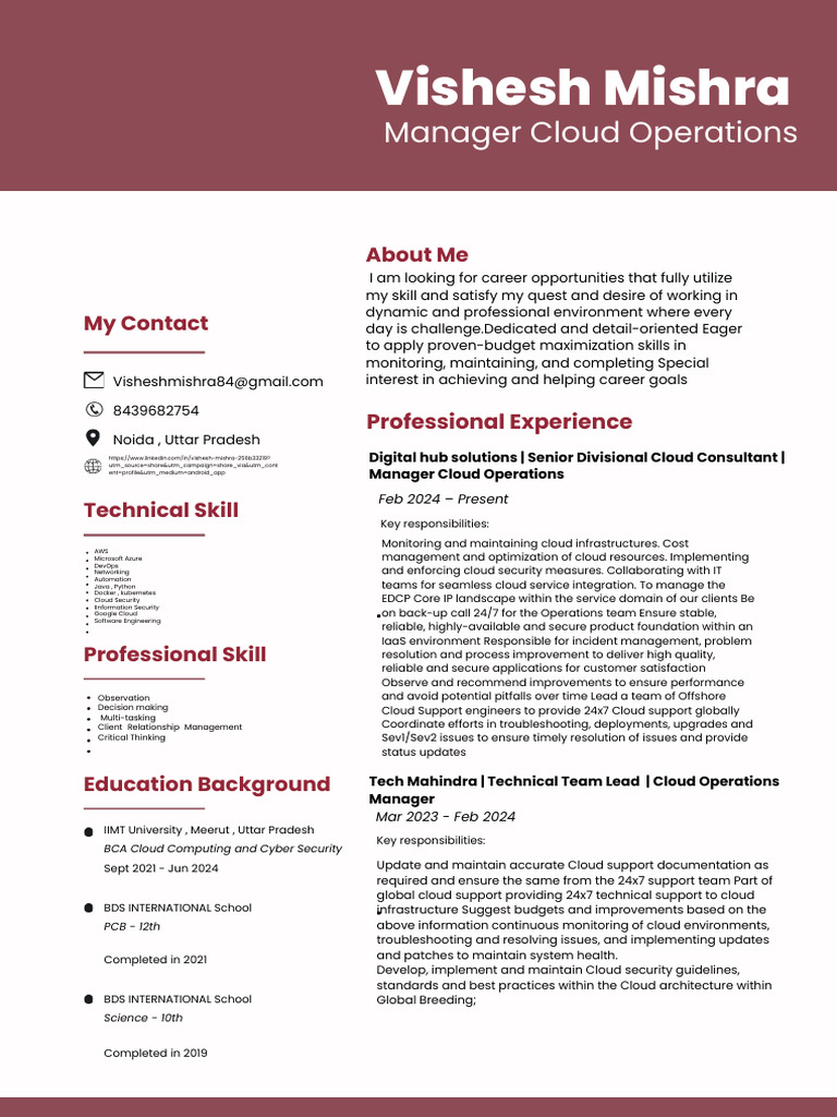 Vishesh CV | PDF