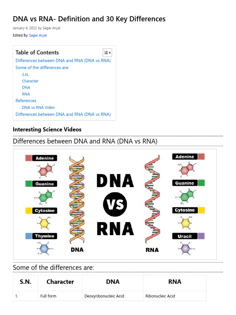 DNA Vs RNA - Definition and 30 Key Differences | PDF
