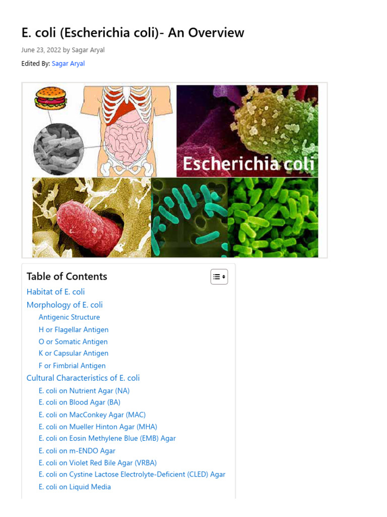 E. Coli (Escherichia Coli) - An Overview - Microbe Notes | PDF