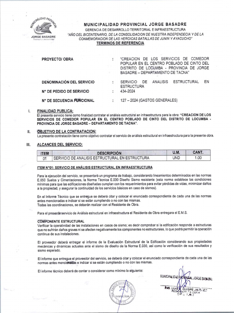 TDR PS 434 Analisis Estructural en Infraestructura | PDF