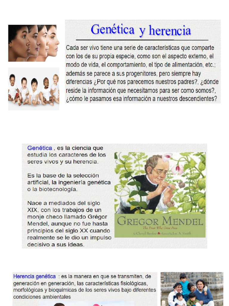 1 - PPT - CICLO VII San Francisco Solano | PDF