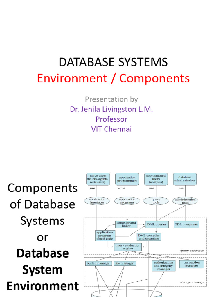 5 Database System Components System Environment Actors | PDF