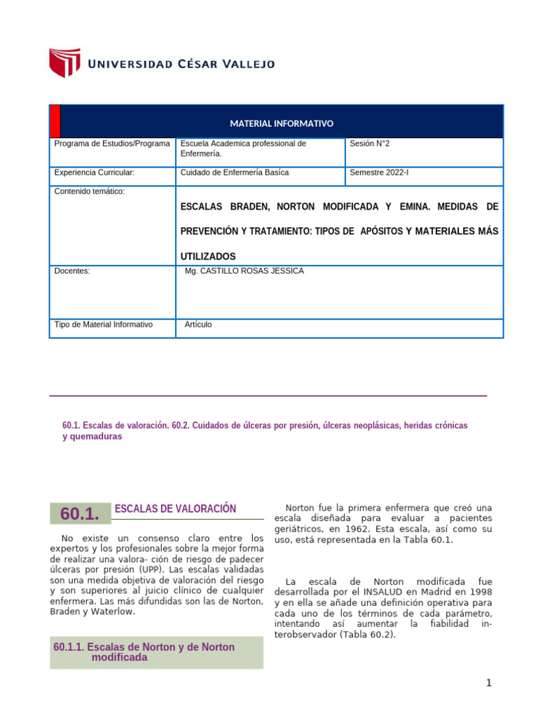Escala de Norton Upp Articulo | PDF
