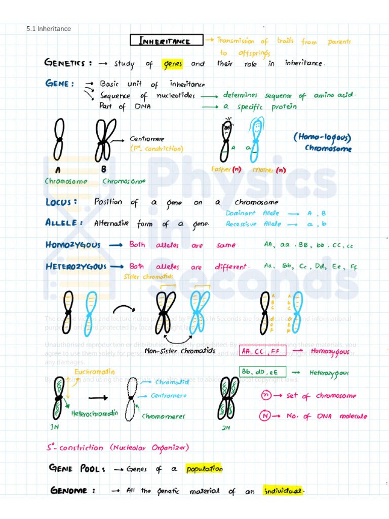 Unit#3 Variation - Genetics, Inheritance - Evolution | PDF Unit#3 Variation - Genetics, Inheritance - Evolution | PDF